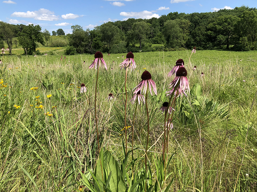 Feel the Burn 5k – Friends of Lapham Peak Unit – Kettle Moraine State ...
